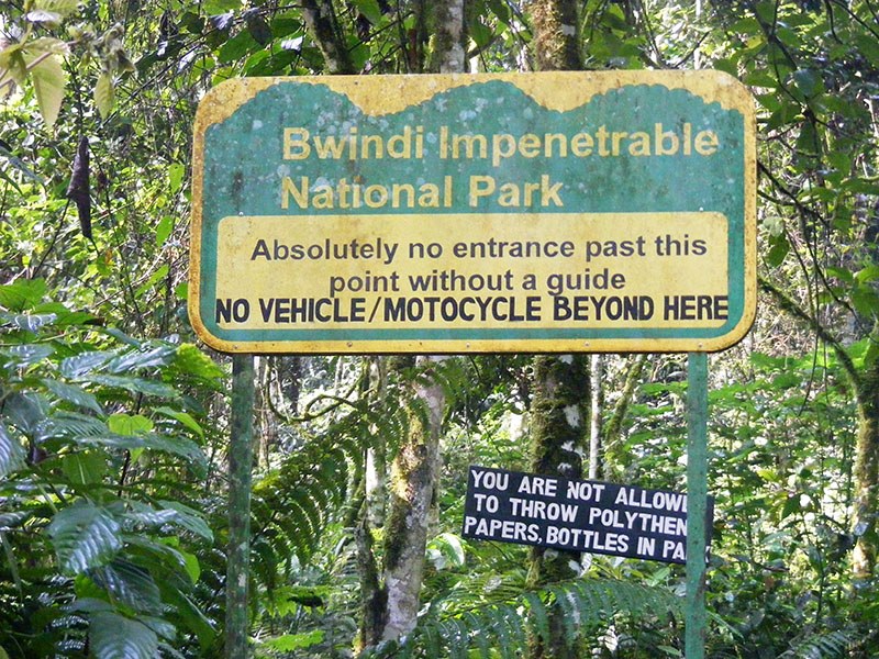 Bwindi Impenetrable National Park Uganda Gorilla Trekking Safaris tours