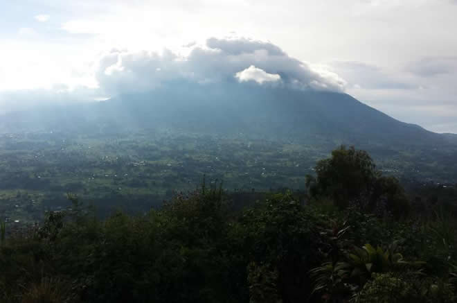 Volcanoes National Park Rwanda, gorilla trekking safaris in Rwanda tour